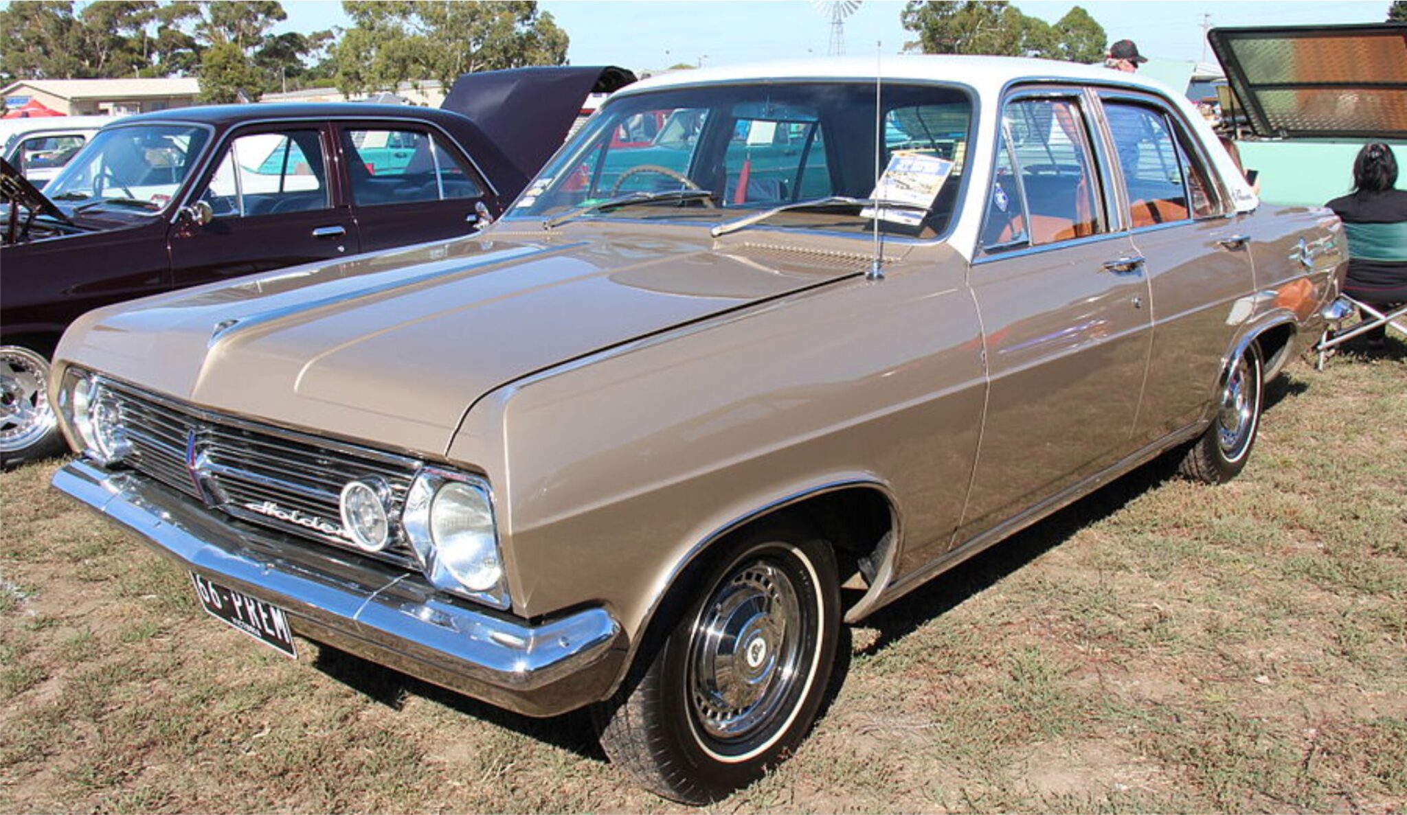 Holden Models - Vehicle Graphics NZ